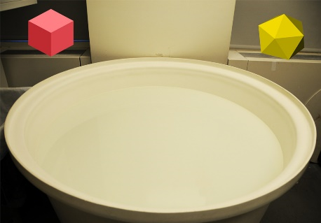 HA Tag: Principles, Applications, and Prospects – AntBio