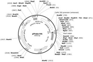 HA Tag: Core Principles, Versatile Applications, and Empowerment by AN ...