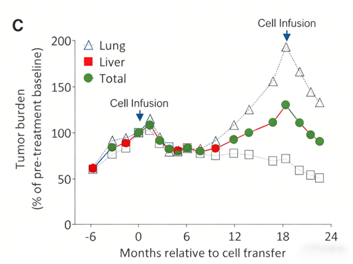 Tumor Neoantigen-Based Immunotherapy: Ushering in a New Era of Precisi ...