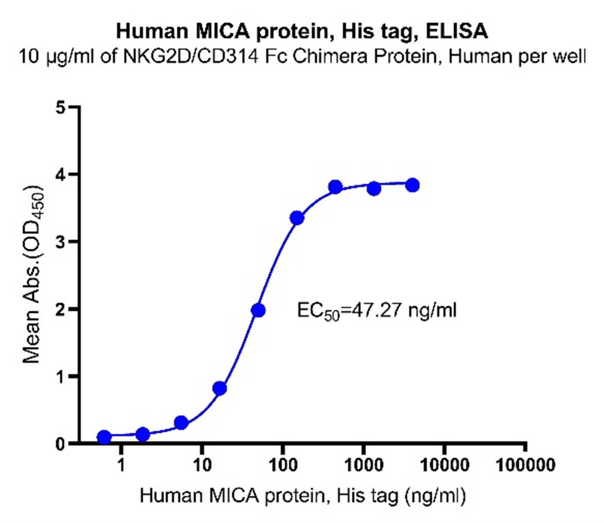 Human MICA protein: How is its critical role in immune response decons ...